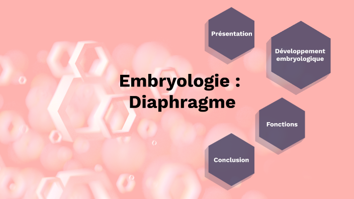 Embryologie: le diaphragme by tom monnet on Prezi