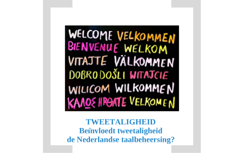 Tweetaligheid by HJ Schuurman