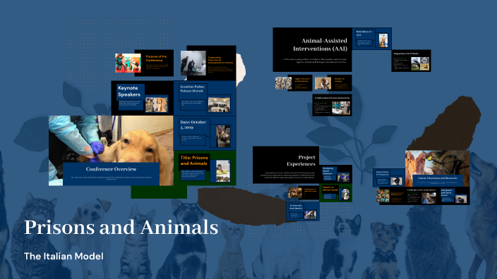 Prisons and Animals by CRISTIANA CONSALVO on Prezi