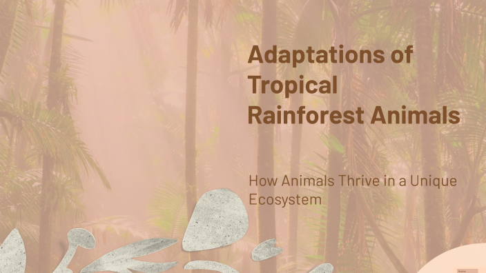 Adaptations of Tropical Rainforest Animals by Coltyn Hamilton on Prezi