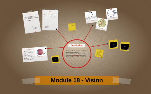 Module 18 - Vision by Krysta Brun on Prezi