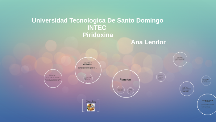 Universidad Tecnologica De Santo Domingo INTEC by Evelin Monegro on Prezi