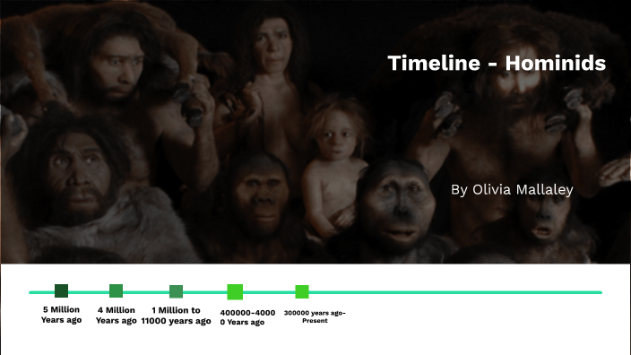 Hominid Timeline by olivia mallaley on Prezi