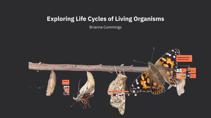 Exploring Life Cycles of Living Organisms by Brianna Cummings on Prezi