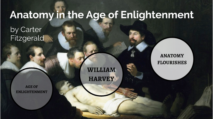 anatomy by Carter Fitzgerald on Prezi