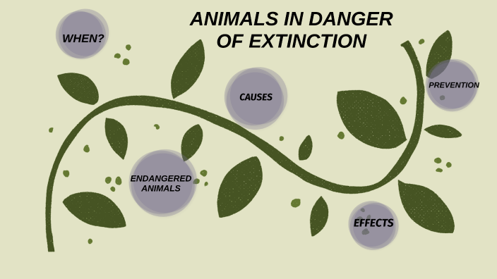 ANIMALS IN DANGER OF EXTINCTION by NAHOMIJ MARQUEZ AREVALO on Prezi