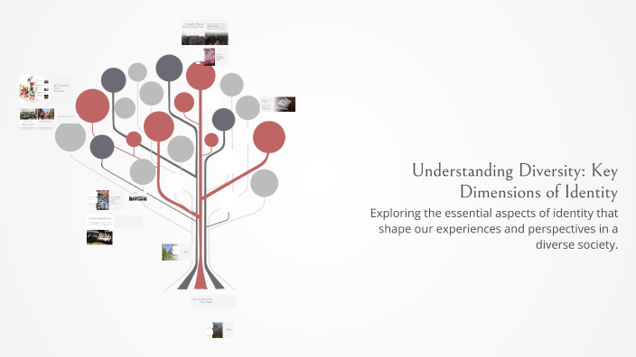 Understanding Diversity: Key Dimensions of Identity by julia trampka on ...