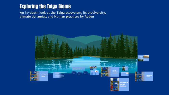 Exploring the Taiga Biome: Characteristics and Sustainability by Ayden ...