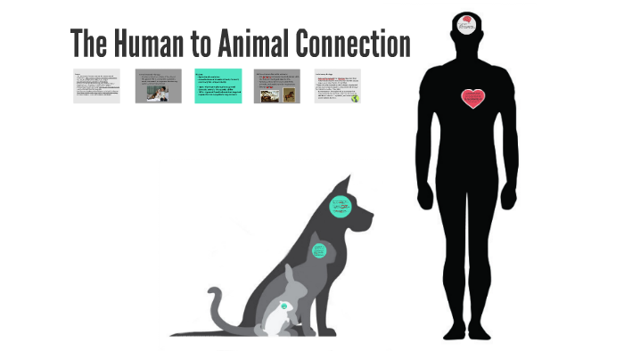 The Human-Animal Connection by Fei Ewald on Prezi