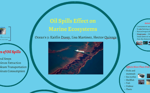 Oil Spills Effect on Marine Ecosystems by Kaitlin Dorey on Prezi