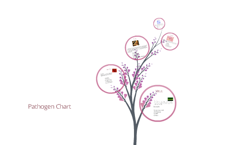 Pathogen Chart by 校衔 刘