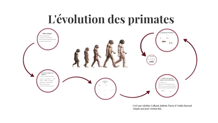 L'Évolution des humains by Jean-Simon Roy on Prezi