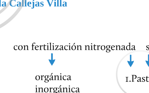 Alcalosis ruminal bovina, a partir del documento del M.V Carlos Tamayo ...
