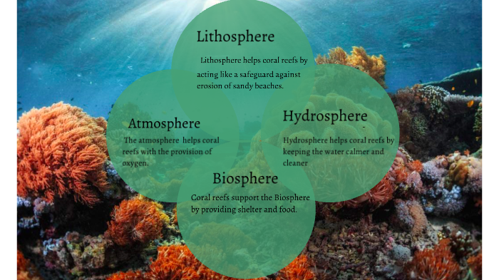 Coral Reef & 4 spheres by Dane Eastman on Prezi