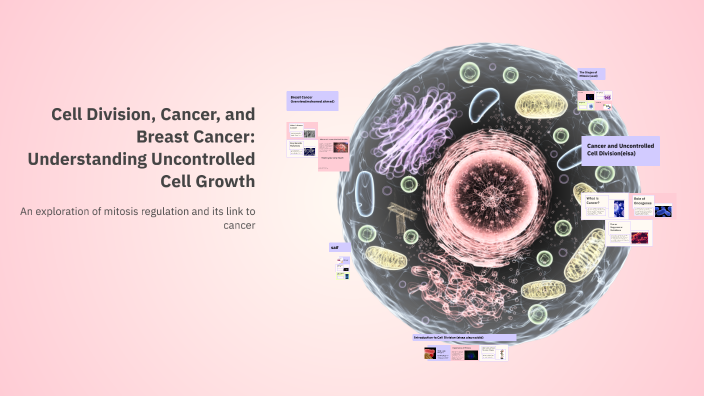 Cell Division, Cancer, and Breast Cancer: Understanding Uncontrolled ...