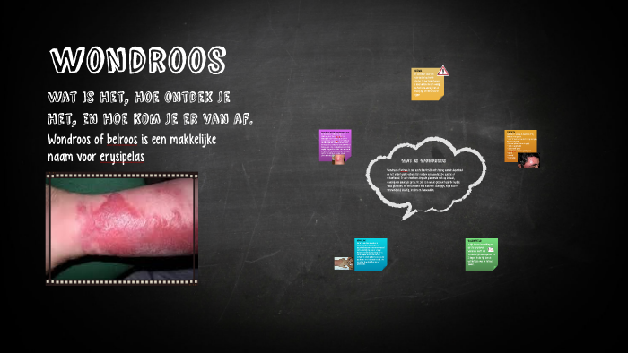 wondroos by anneke deisz on Prezi