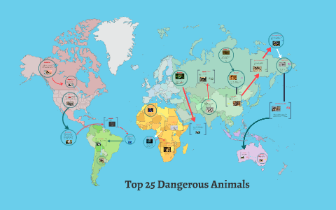 Top 20 Dangerous Animals by Christa Alcala on Prezi
