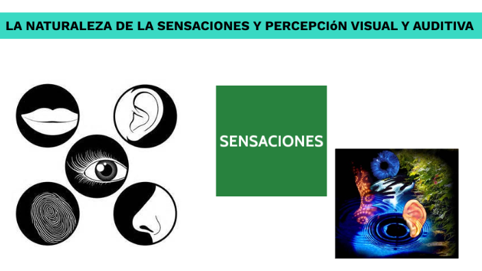 SENSACIONES PERCEPCION VISUAL Y AUDITIVA by WENDY JULISSA LIMONES ...