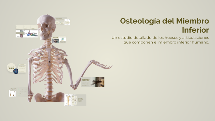 hueso del muslo by Yilberth Humpire on Prezi
