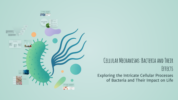 Cellular Mechanisms: Bacteria and Their Effects by zana kuqi on Prezi