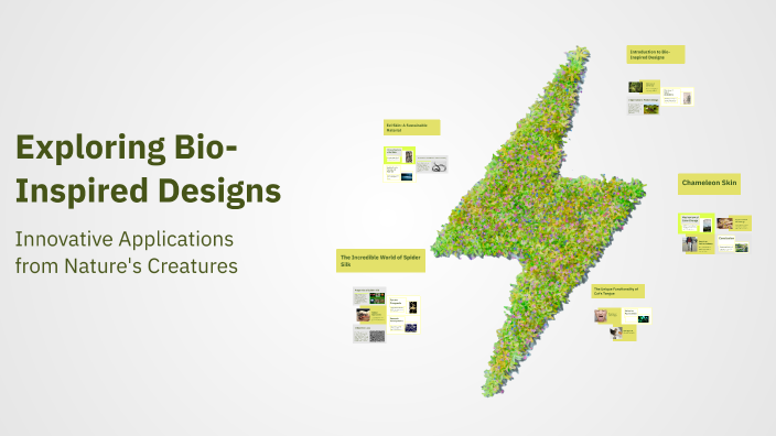 Exploring Bio-Inspired Designs by Sree on Prezi