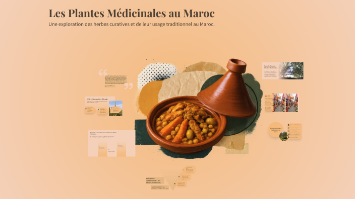 Les Plantes Médicinales au Maroc by salma bensais on Prezi