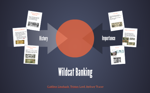 Wildcat Banking by Tristen Lord on Prezi
