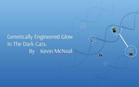 Genetically Engineered Glow In The Dark Cats. by kevin mcneal on Prezi