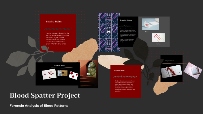 Blood Spatter Project by Owen Sunderland on Prezi