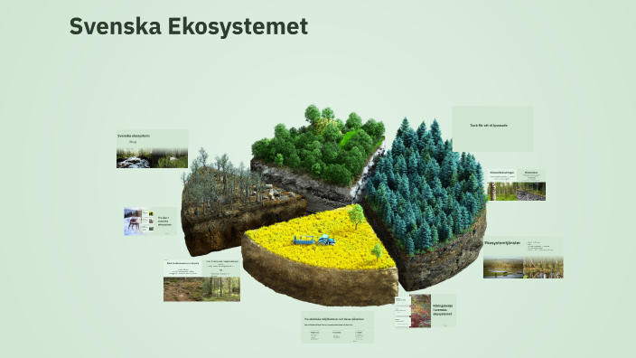 Svenska Ekosystemet by Frank Magnusson on Prezi