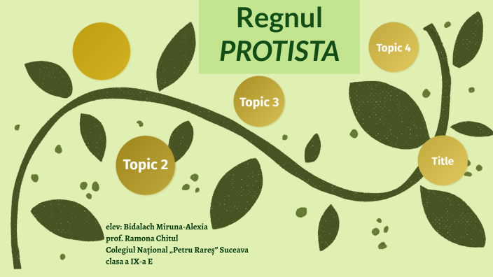 Regnul PROTISTA by Miruna Bidalach on Prezi