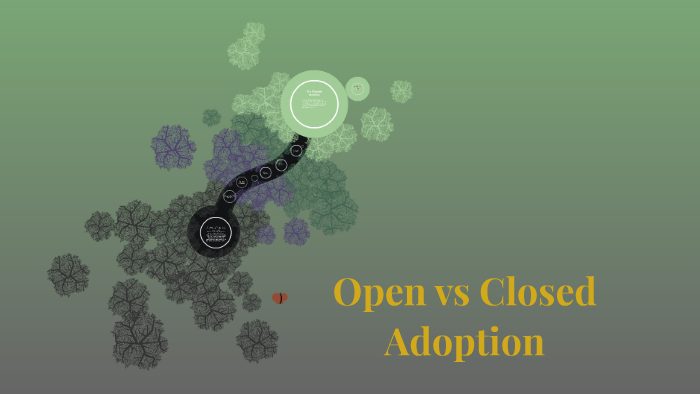 Open vs Closed Adoption by Bethany McMurdy