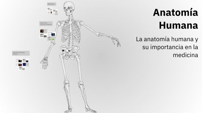 Anatomía Humana by Angel Daniel Gutierrez Fraijo on Prezi