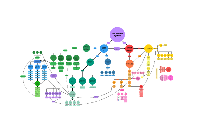Immunology Concept Map by Abigail Nelson on Prezi