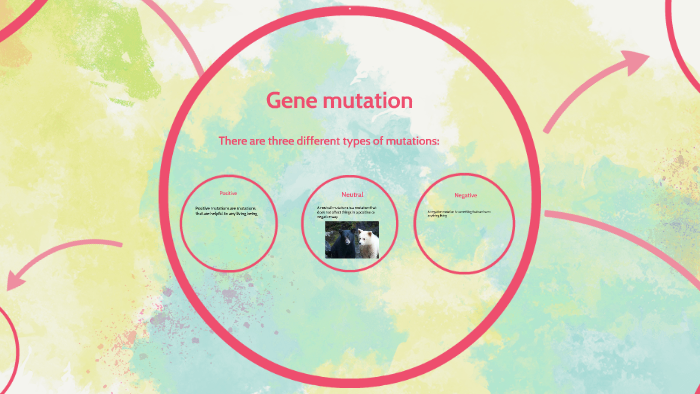 negative mutations by ella h on Prezi
