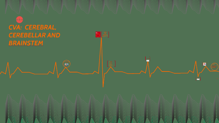 CVA: CEREBRAL, CEREBELLAR AND BRAINSTEM by Vickie Service on Prezi
