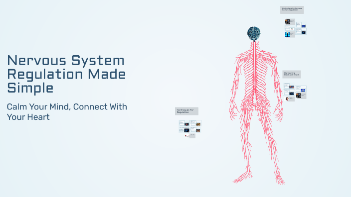 Nervous System Regulation Made Simple by supriya salve on Prezi