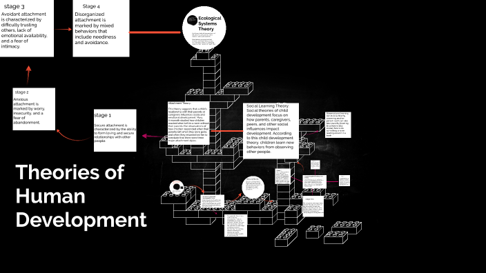 Theories of Human Development by Andrew Barnett on Prezi
