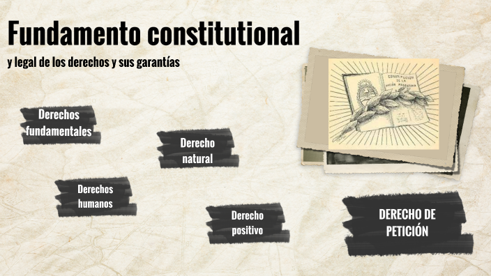 Fundamento constitucional y legal de los derechos y sus garantías by ...