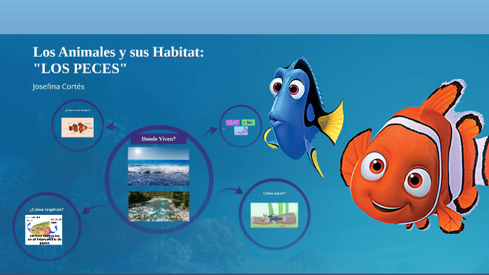 Los Animales y sus Habitat: by Francisco Cortes on Prezi