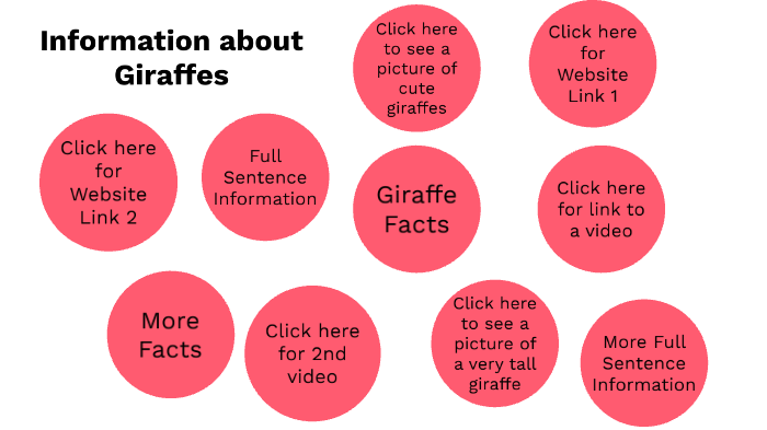 Information about Giraffes by Hannah Menke on Prezi