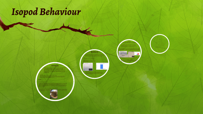 Isopod Behavior by Nathan Loo on Prezi