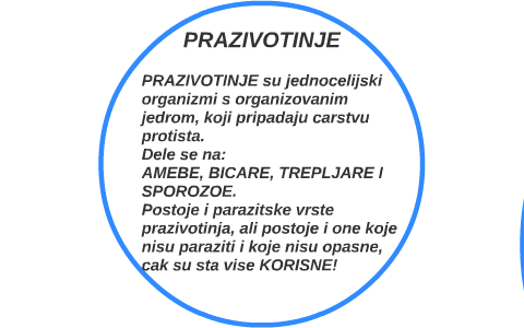 PRAZIVOTINJE by Anastasija Kozma on Prezi