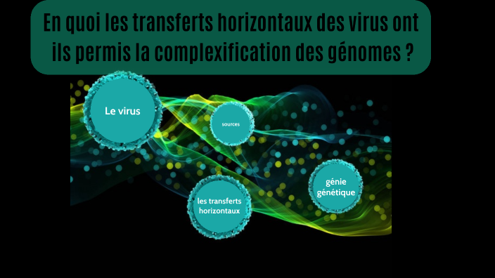 les virus vecteur de transfert horizontaux en génie génétique by ju ju ...