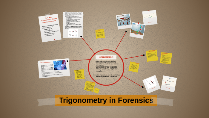 Trigonometry in Forensics by Maddie Brandon on Prezi