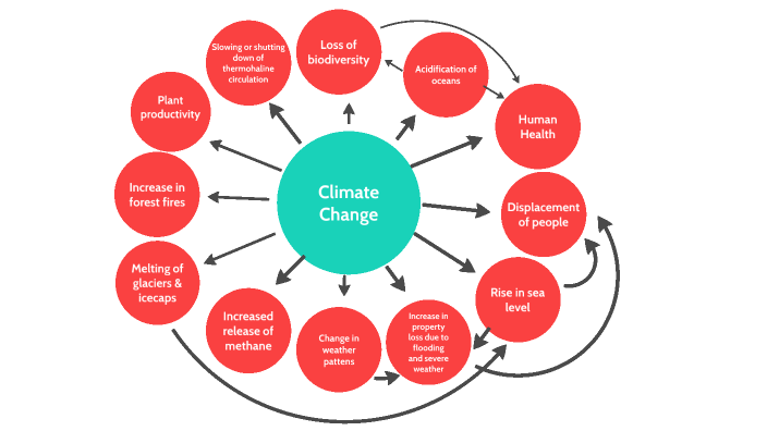 Climate Change Mind Map by Andrew Loniewski on Prezi
