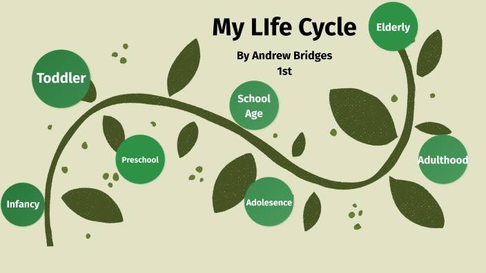 My Life Cycle by Andrew Bridges on Prezi