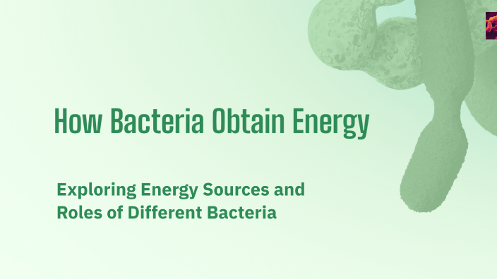 How Bacteria Obtain Energy by Arlenne Castro on Prezi