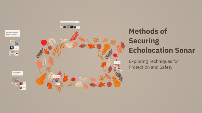 Methods of Securing Echolocation Sonar by Bartek Lewandowski on Prezi