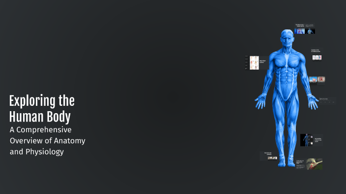 Exploring the Human Body by AISWARYA P S on Prezi